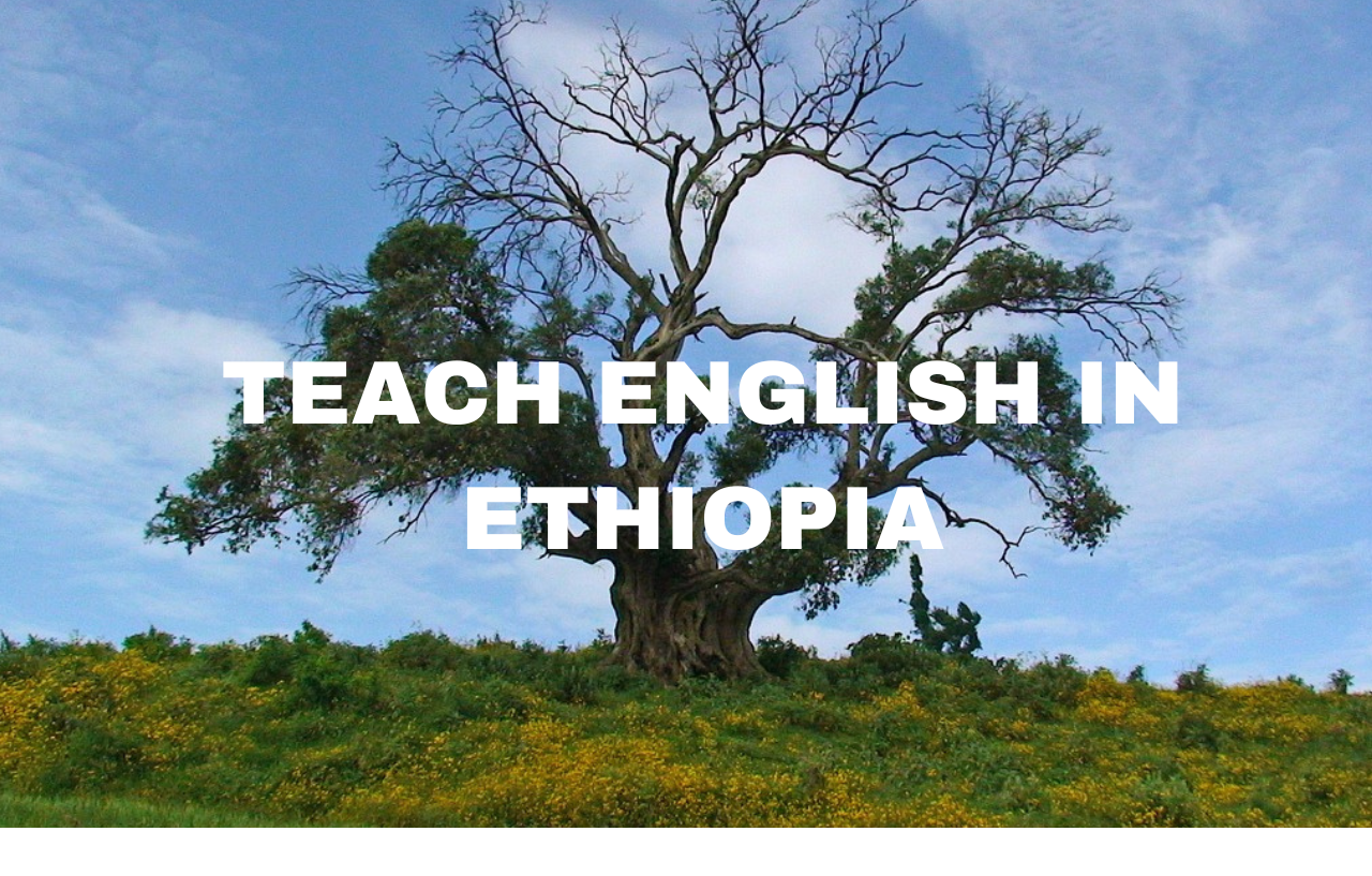 Teach English in Ethiopia: Opportunities, Challenges, and Effective ...