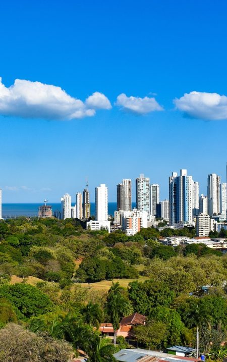 SkyEng Requirements and Salaries: What You Need to Know to Start Teaching Online - English ...